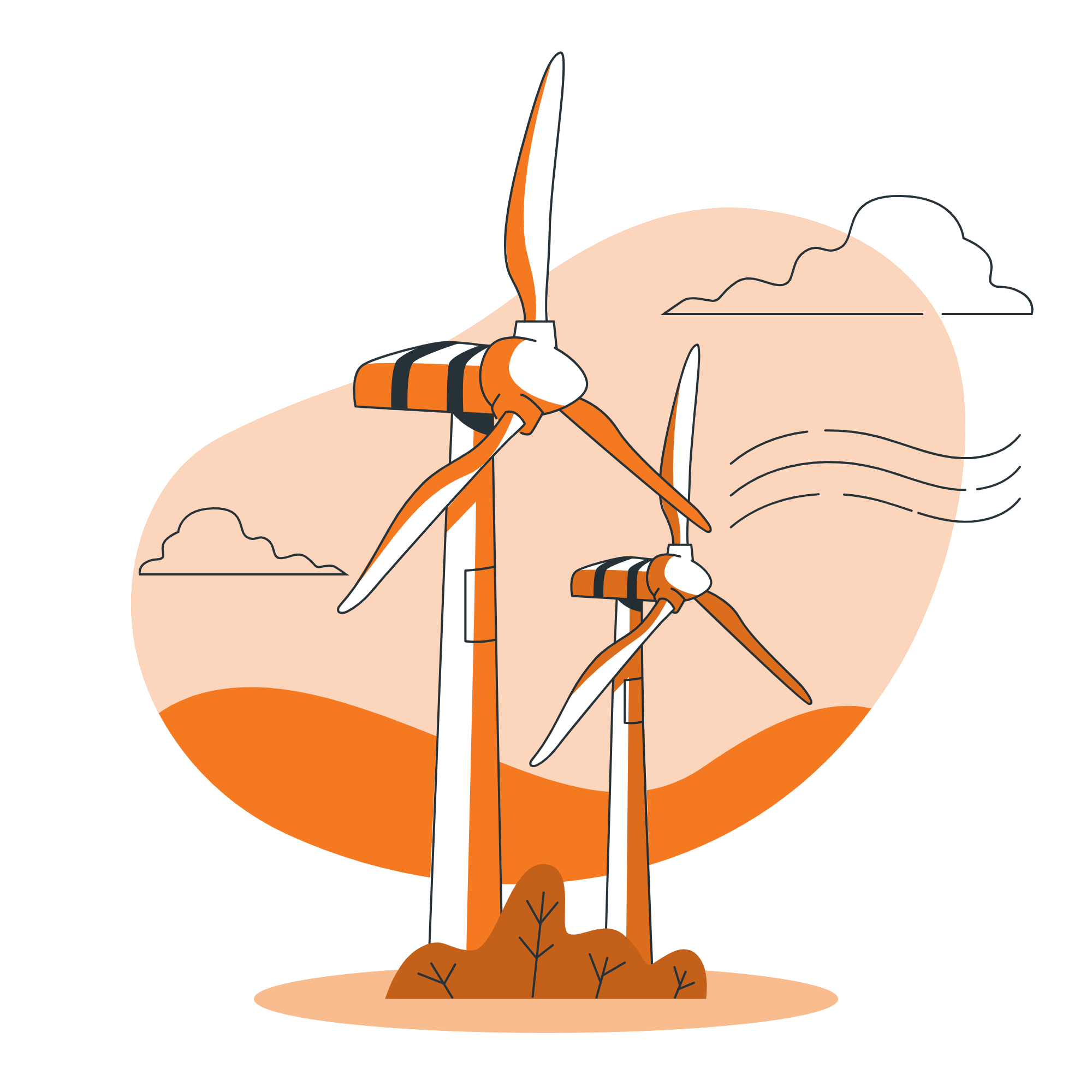 Planning & Environment | Captains Mountain Wind Farm